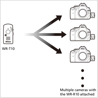 NIKON無線遙控器WR-R10/WR-T10使用範例 技術交流-蘋果網-